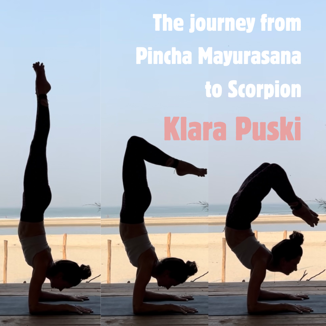 Atelier Pincha Mayurasana to Scorpion avec Klara Puski dimanche 8 ...